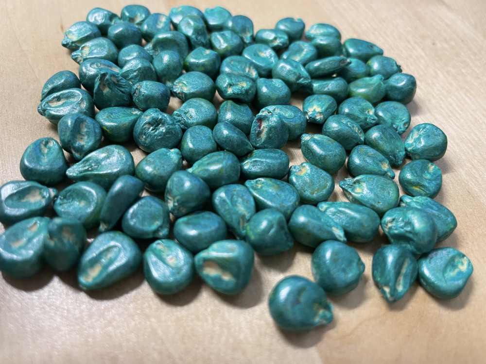 Coating Seed is Not an Art. It's a Skill, and You Can Learn It. - Seed ...