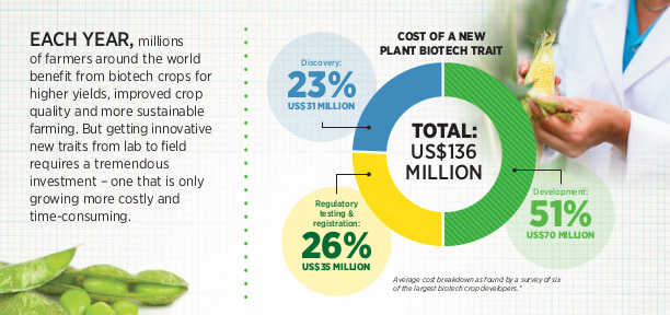 New Infographic Shows Process of Getting GM Crops to Market