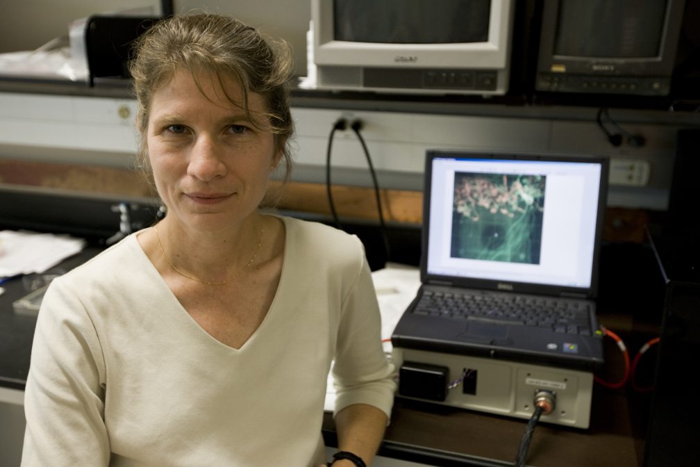 NASA Recognizes Scientists for Plants-in-Space Research