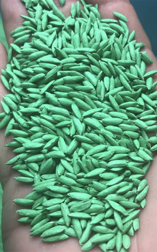 Coating Seed is Not an Art. It's a Skill, and You Can Learn It. - Seed ...