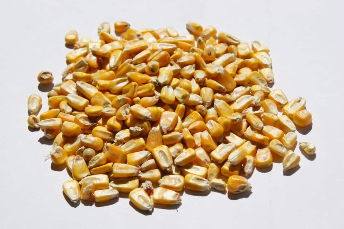Status Rwanda: Stakeholders Ink Deal for Production of Local Hybrid ...