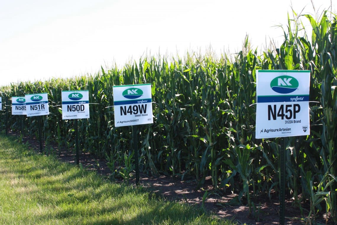 Syngenta Introduces 10 New NK Corn Hybrids - Seed World