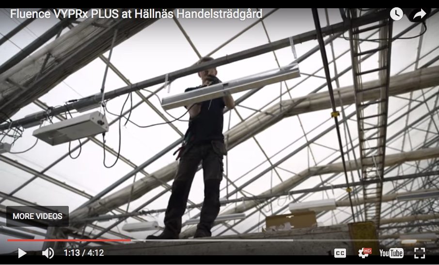 Designing Light Solutions for Arctic Conditions - Seed World