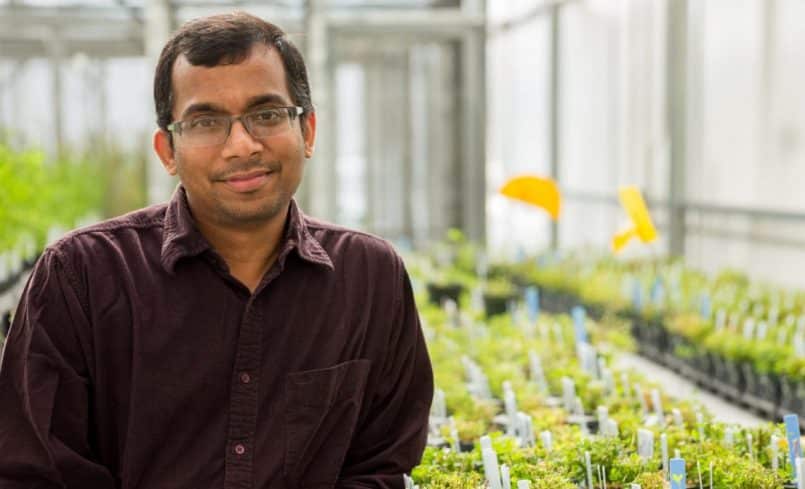 Noble Foundation Scientist Recognized for Alfalfa Disease Research ...